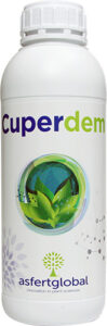 Cuperdem EN - asfertglobal