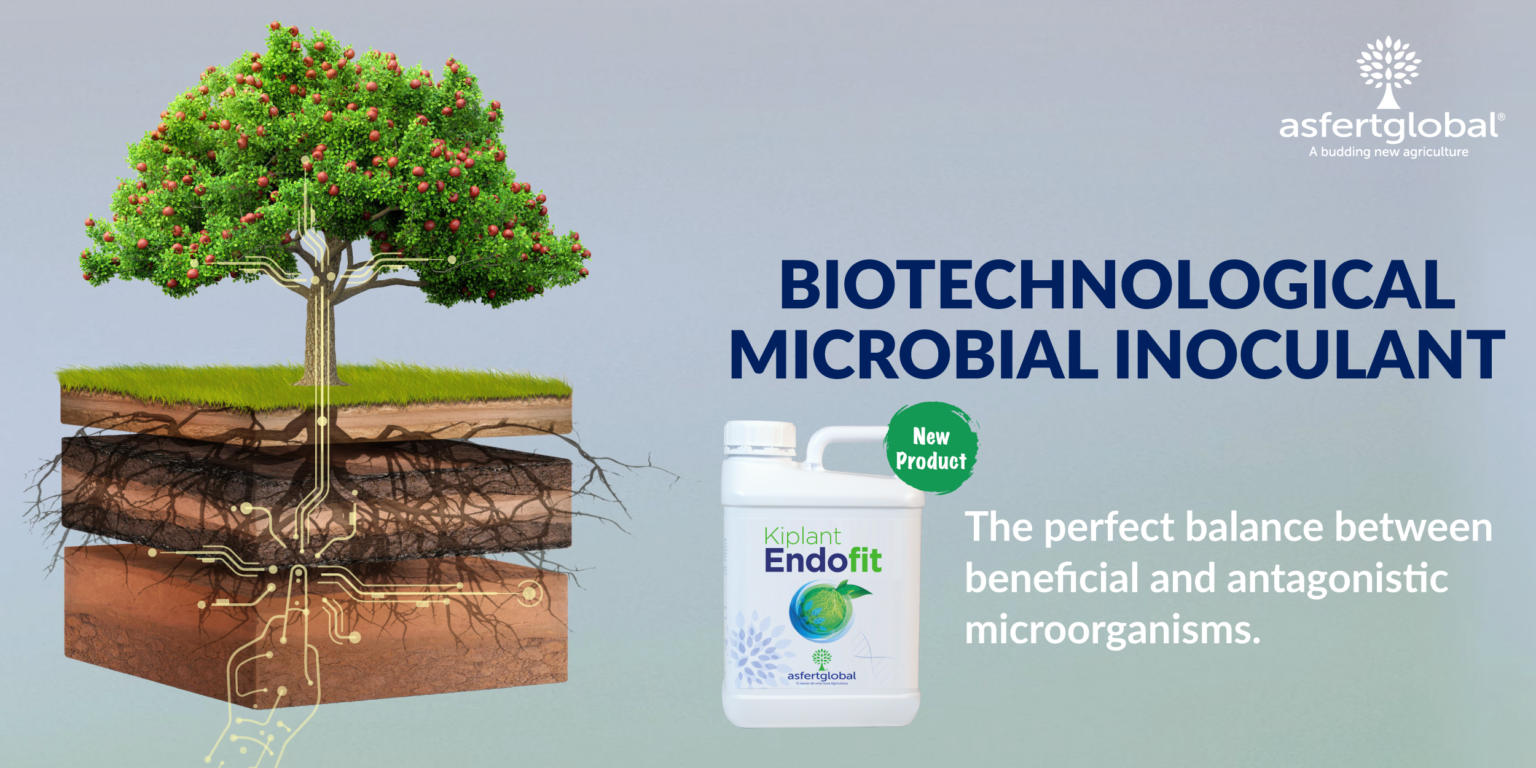 Asfertglobal launches new microbial inoculant - Kiplant Endofit